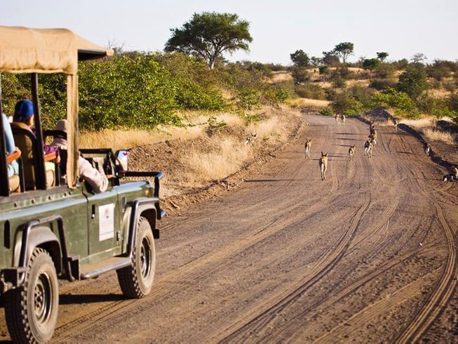 7 Day Ultimate Safari Tour Combo in Botswana and South Africa ...
