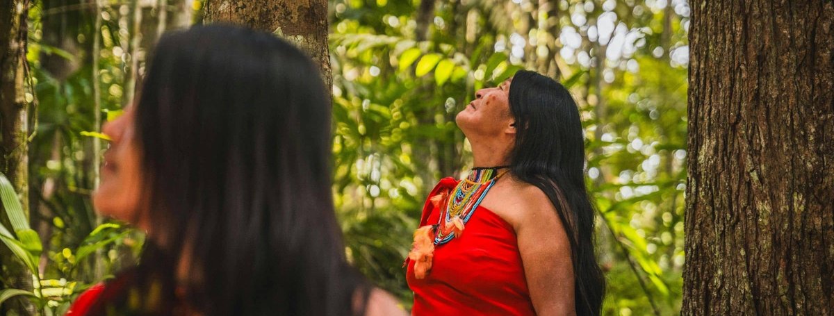Top 10 Ayahuasca Retreats for 2026/2027 | Tripaneer