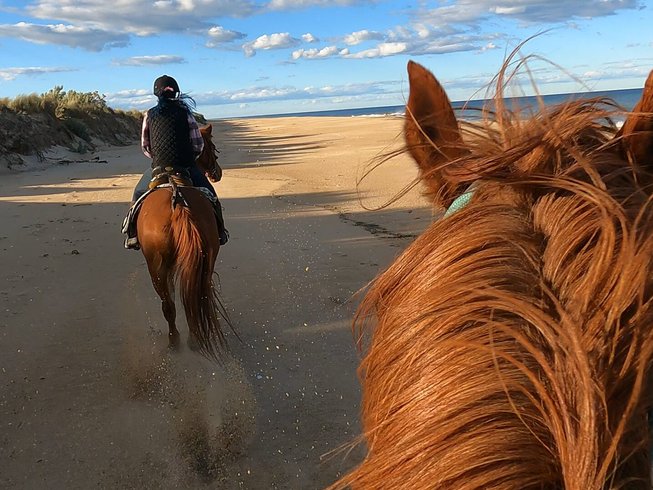 3 Day / 2 Night 90 Mile Beach Horse Riding Campout in Victoria ...