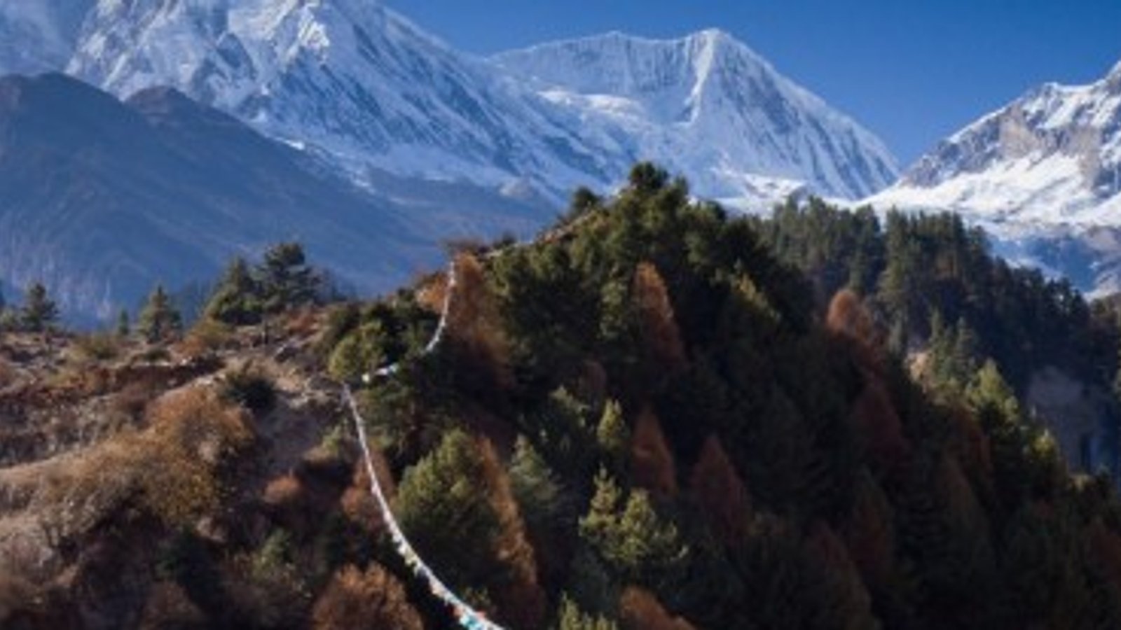 Amazing Nepal Trek & Expedition, Nepal