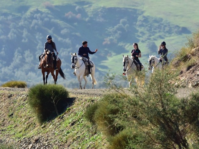 4 Day Gold Package Horse Riding Holiday and Luxury Self-Catering Stay ...