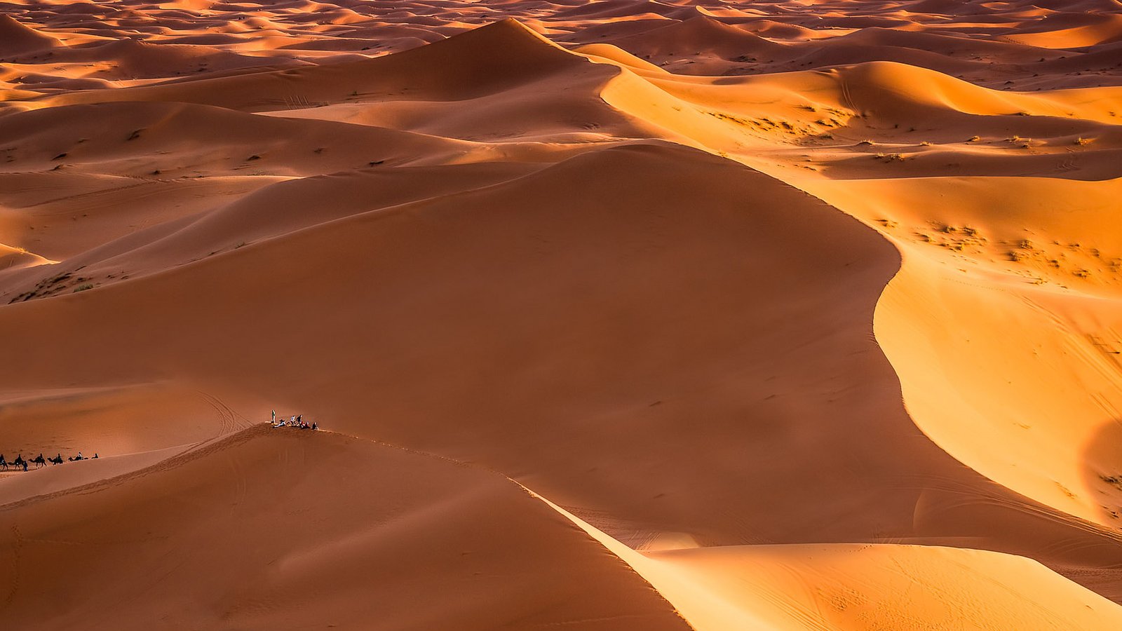 Road Junky Retreats, Morocco