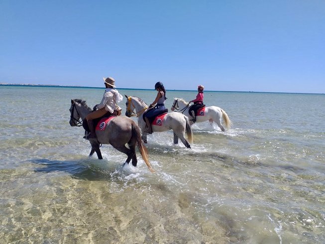 11 Days Sun Festival and Red Sea Horse Riding Adventure in Pharaoh ...