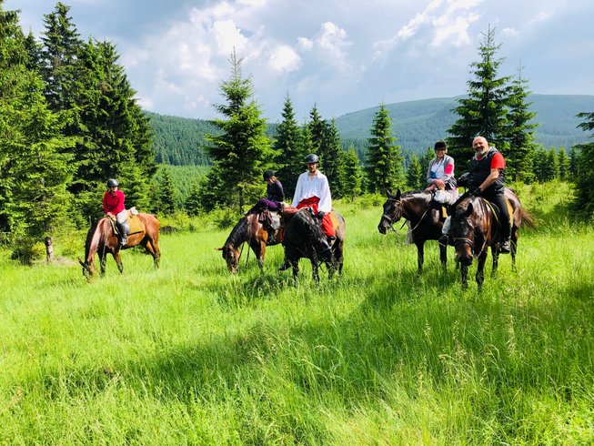 8 Days Point to Point Wonderful Transylvanian Horse Riding Adventure in ...