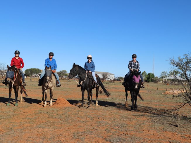 4 Day Cattle Station Experience and Bush Riding Adventure in Yalgoo ...