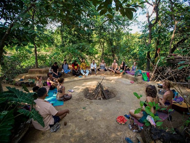 14 Day Intensive Kambo Training and Sacred Wood Journey in Enchanting ...