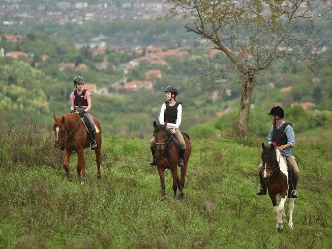 4 Days Fruska Gora Horse Riding Holiday in Vojvodina, Serbia ...