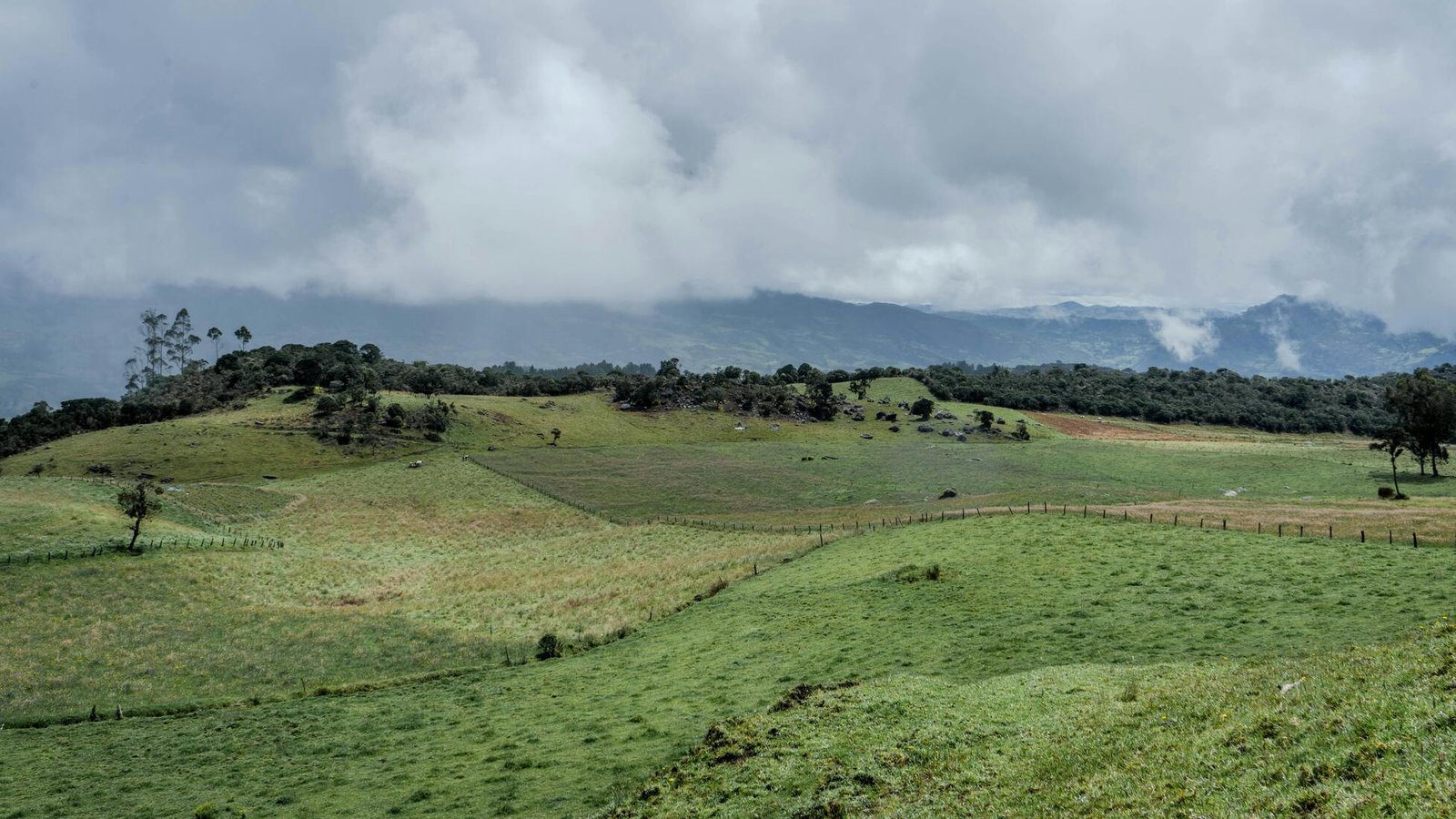 Top 10 Horse Riding Holidays in Machetá, Colombia for 2025/2026