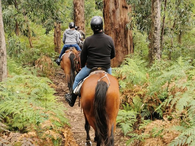 3 Day Getaway Horse Trail Ride in Yarra Valley, Victoria ...
