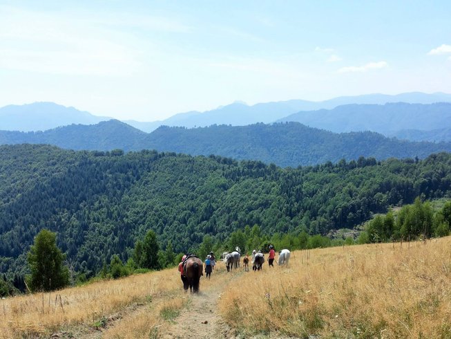 4 Day Horse Riding Holiday in The Lotru Mountains, Romania ...