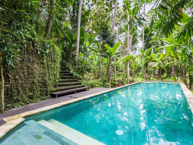 8 Days Wellness Yoga Retreat in Bali, Indonesia - BookYogaRetreats.com