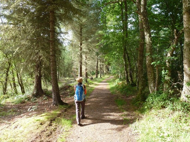 7 Day Walk the Great Glen Hiking Holiday and Cruise in Caledonian Canal ...