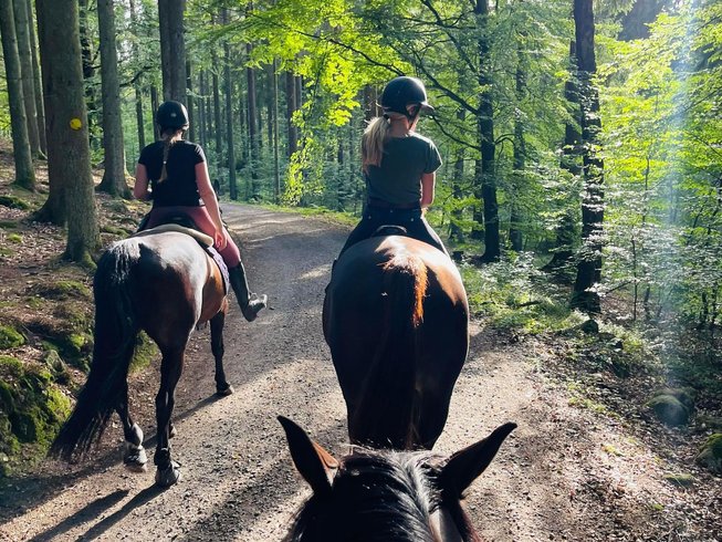 4 Day Horse Riding Weekend with Beautiful Views in Ljungbyhed, Skåne ...