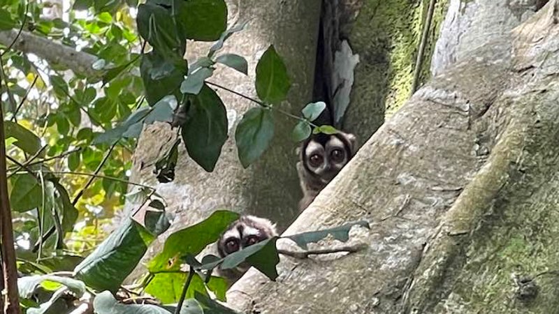 4 Day Tropical Forest Community Adventure Across the Stunning Delta of ...