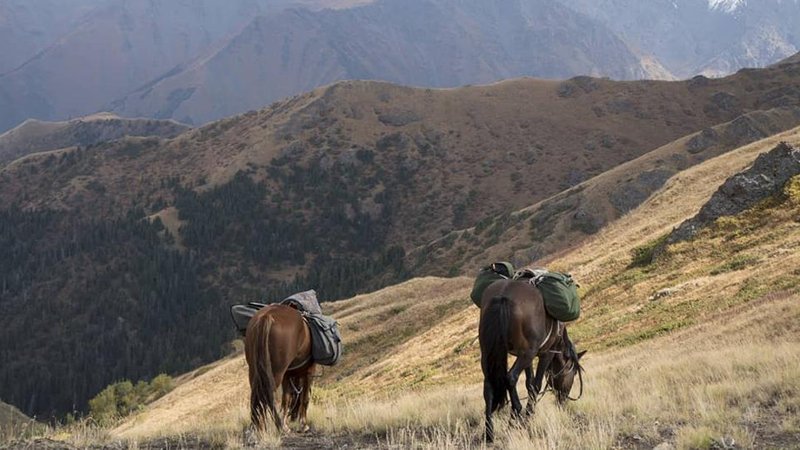 7 Day Wildlife Tour and Horse Riding Holiday in Almaty Region ...