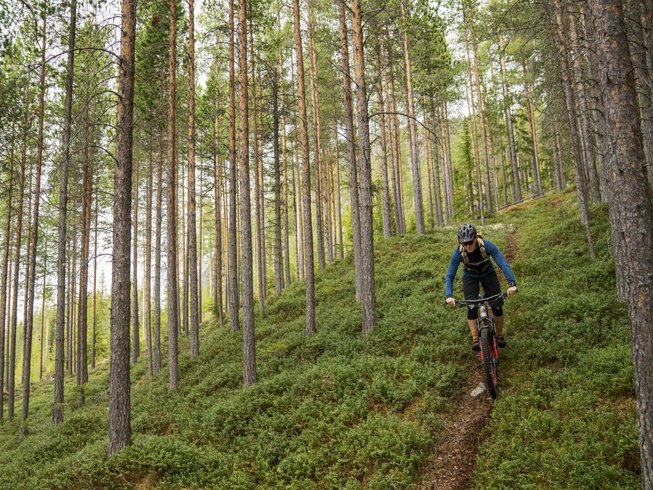 8 Day From Fjord to Mountain Guided MTB Tour in Norway - Tripaneer.com