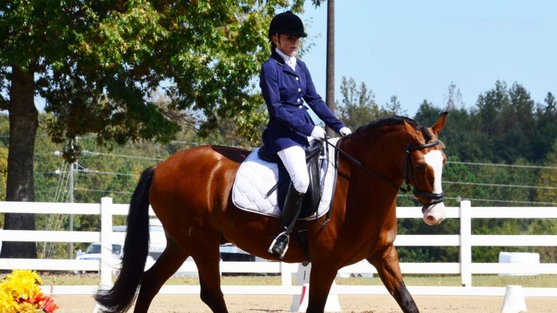 3 Day Establishing Fundamental Dressage Skills Riding Package in ...