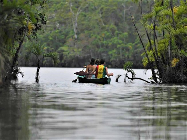 4 Days Fascinating Wildlife Tour in Panacocha, Ecuador - BookAllSafaris.com