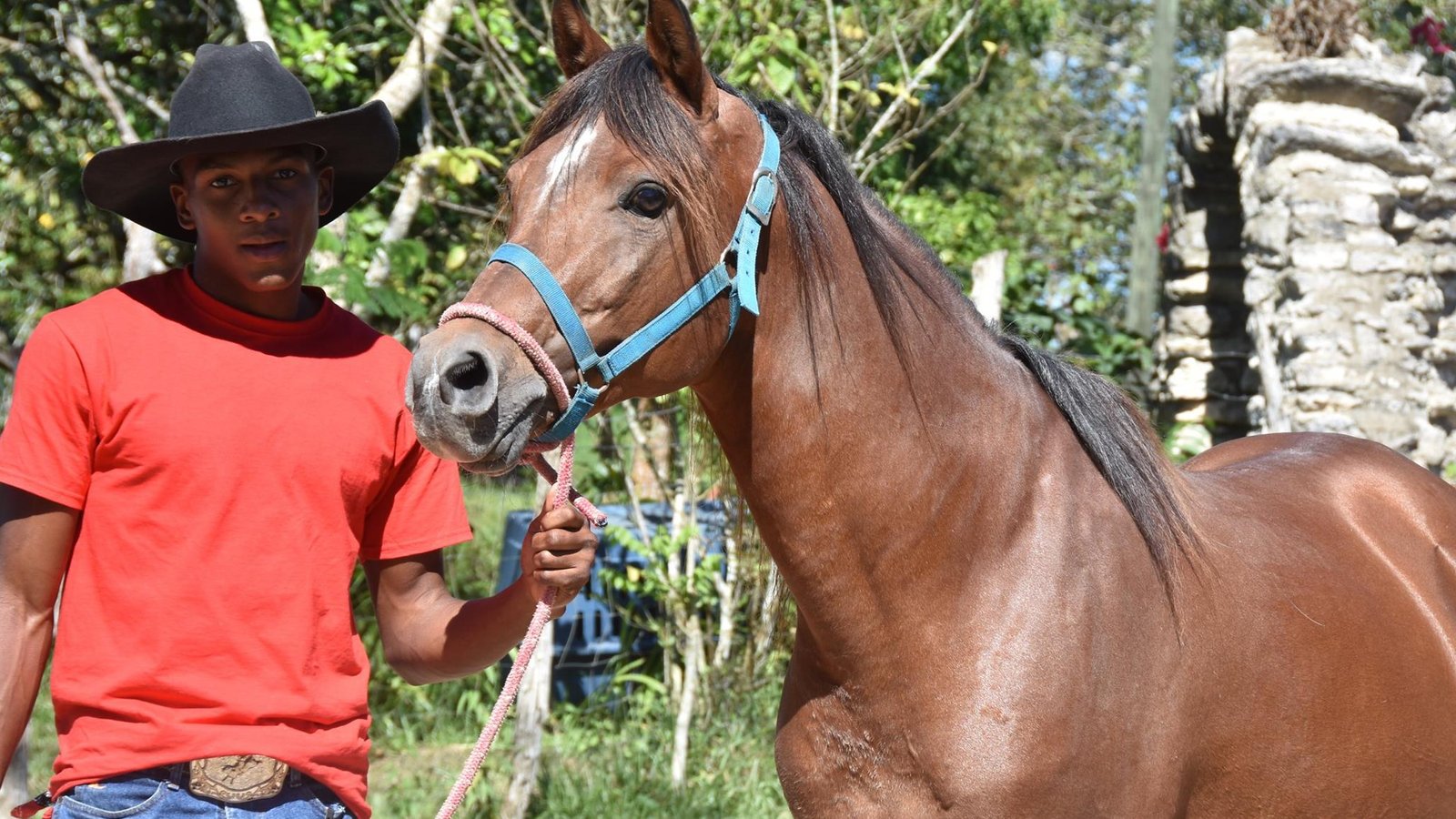 Hanna Stables, Belize