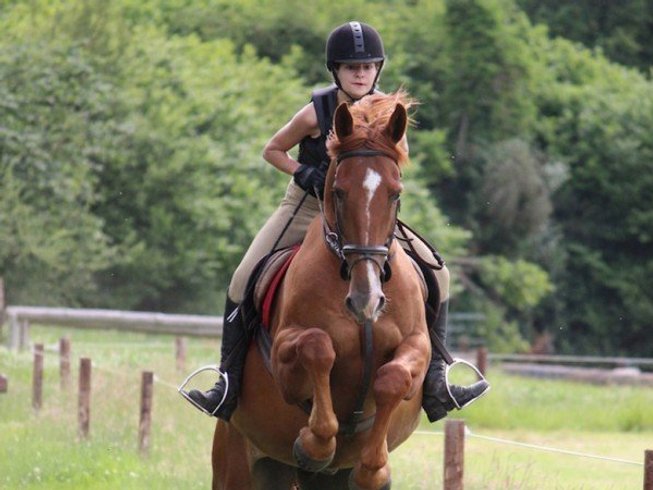 3 Days Weekend Cross Country Horse Riding Holiday in Tipperary, Ireland ...