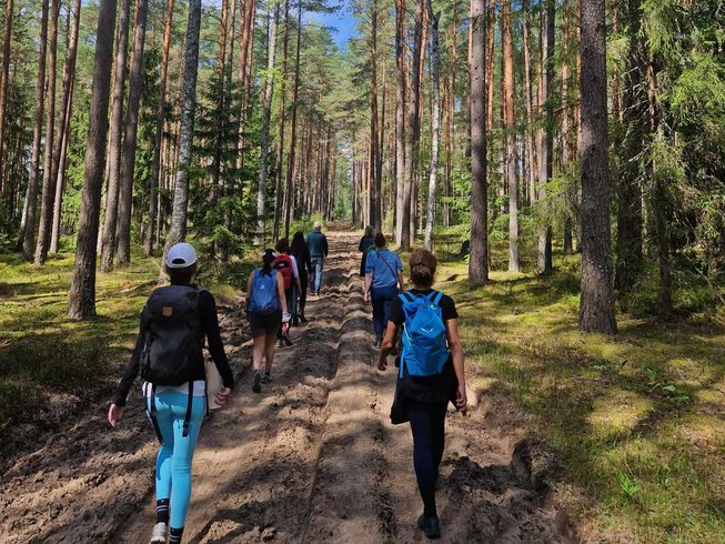 7 Day Forest Wellbeing Retreat in Labanoras National Park, Lithuania ...