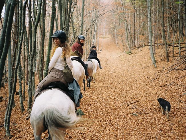 4 Day Horse Riding Holiday in The Lotru Mountains, Romania ...