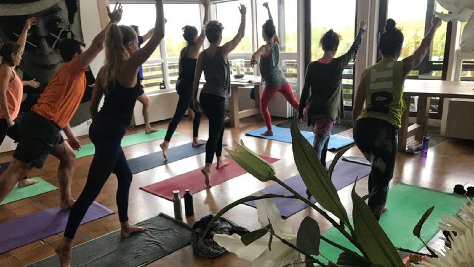 Maison Fish, Großbritannien